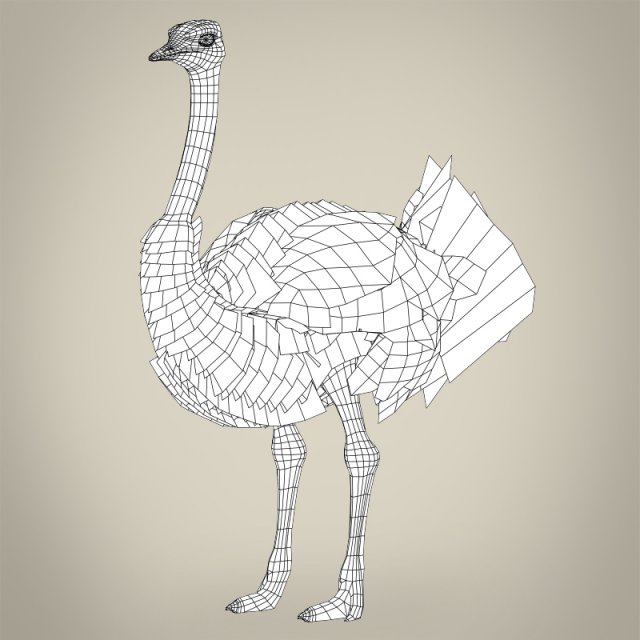 low poly ostrich 3D Model in Wildlife 3DExport