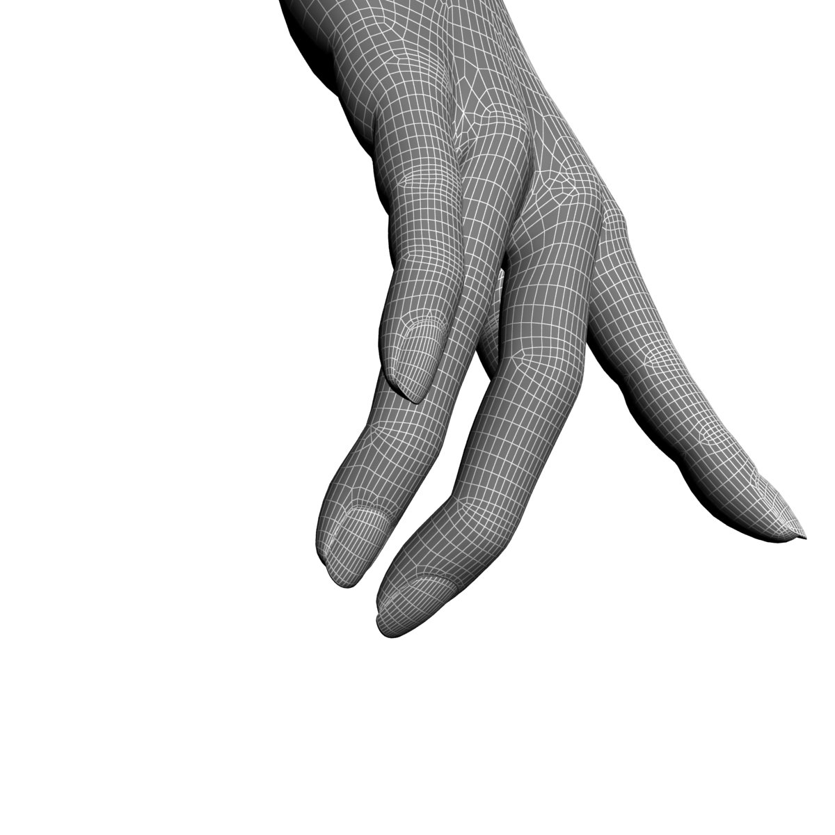 3d Hand Wireframe