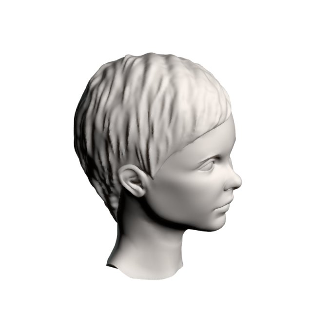 young girl head 3D Model in Woman 3DExport