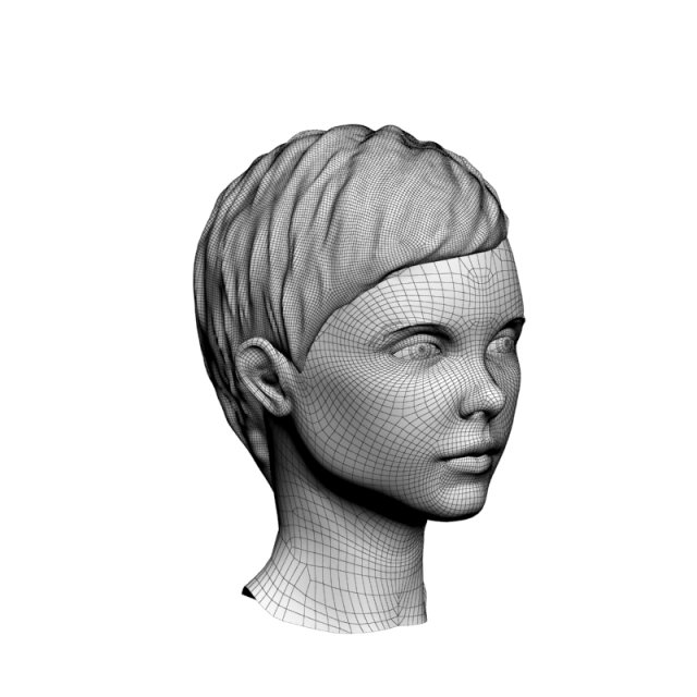 young girl head 3D Model in Woman 3DExport