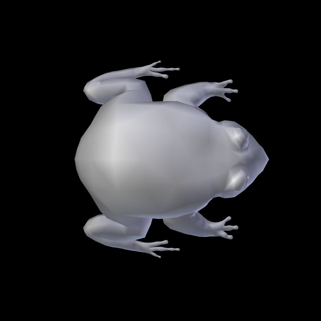 Toad 3D Model in Amphibians 3DExport