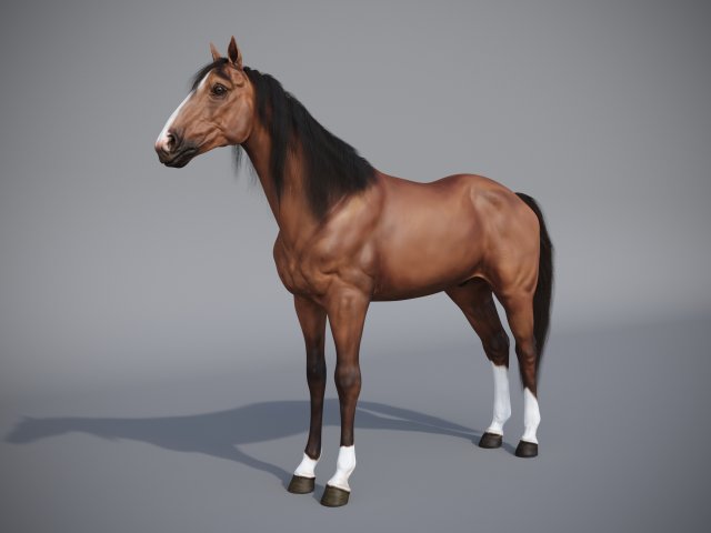 the horse in three positions 3D Model in Horse 3DExport