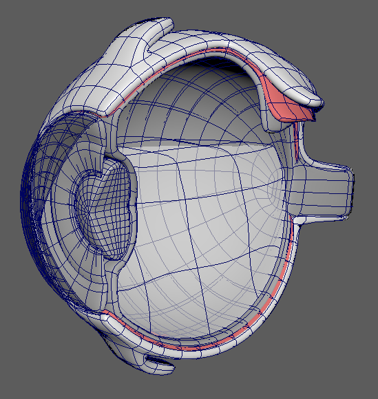 Eye anatomy 3D Model in Anatomy 3DExport