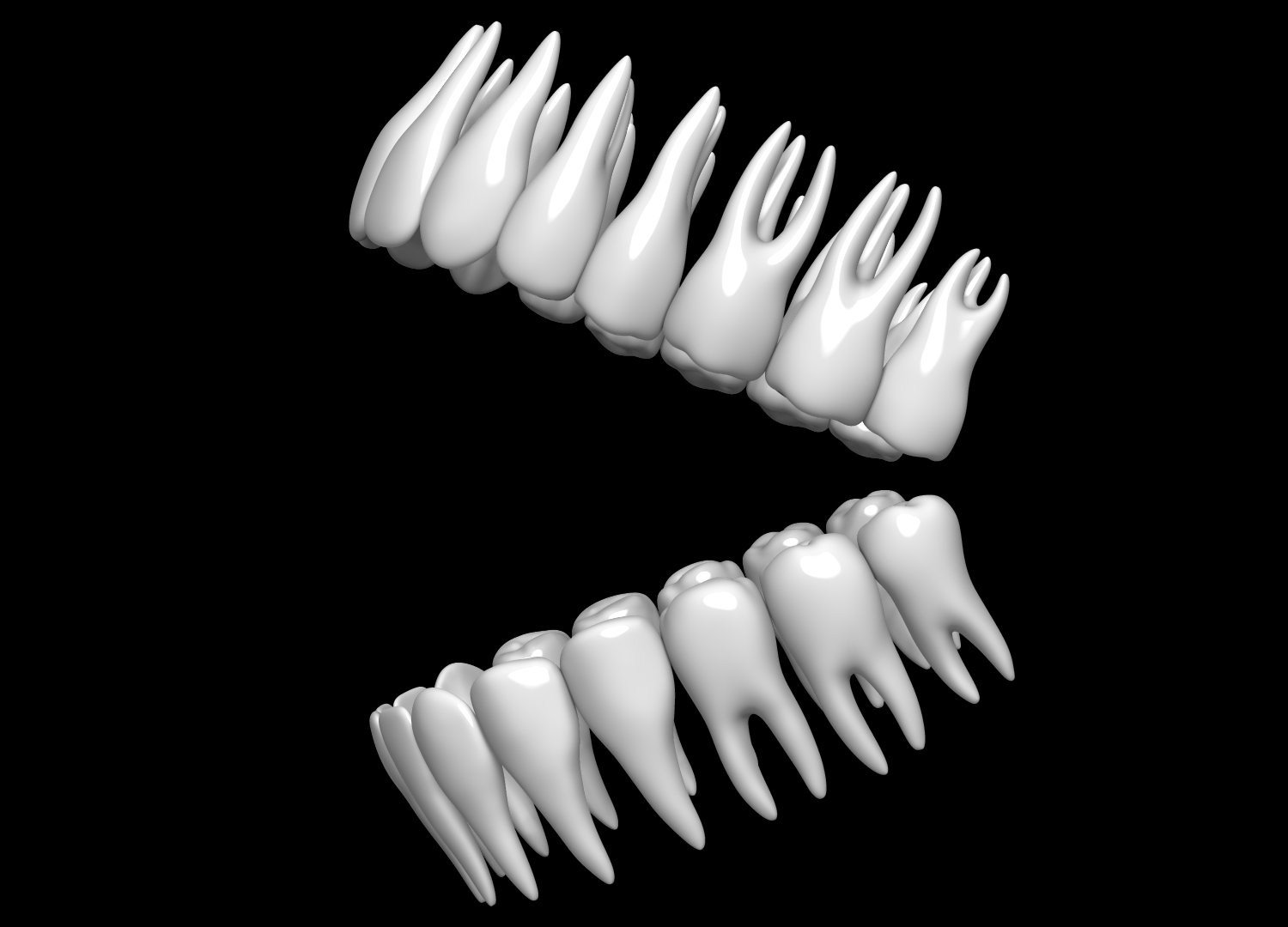 Tooth 3d Model Free Download