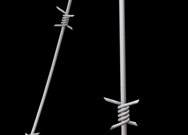 Barbed Wire 3D Model in Tools 3DExport