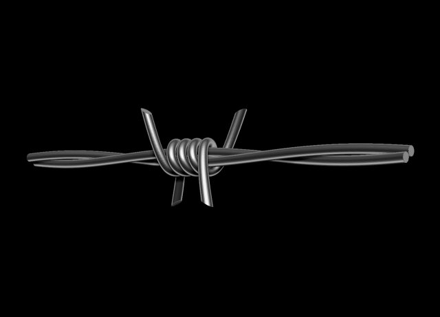 Barbed Wire 3D Model in Tools 3DExport
