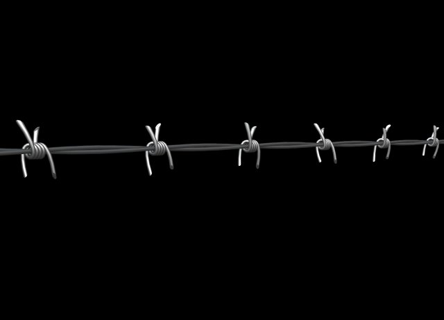 Barbed Wire 3D Model in Tools 3DExport