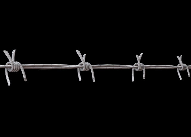 Barbed Wire 3D Model in Tools 3DExport