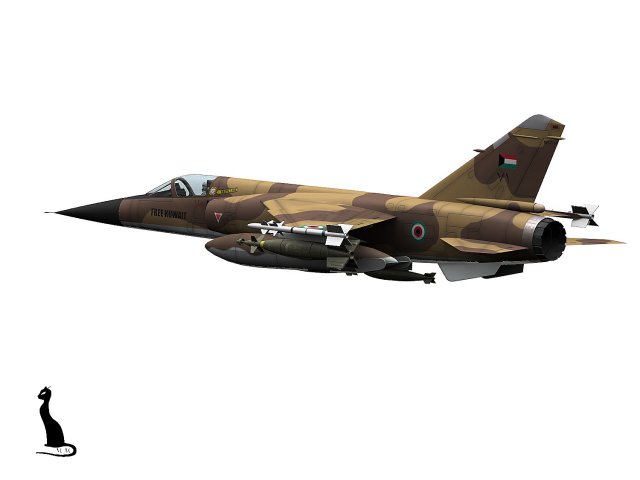 mirage f-1 kuwait scheme 3D Model in Fighter 3DExport