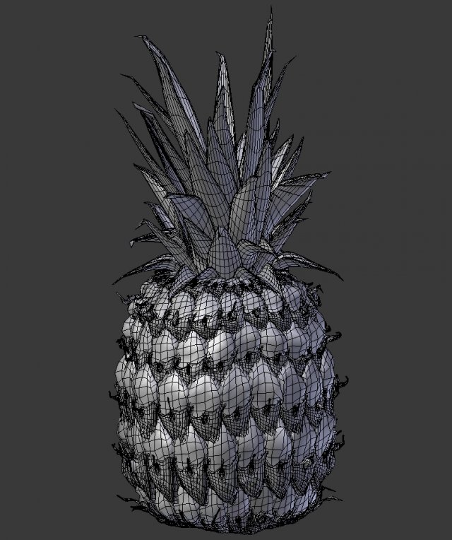 realistic pineapple Modelo 3D in Fruta 3DExport