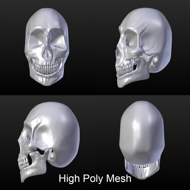 skull - blender3d 3D Model in Anatomy 3DExport