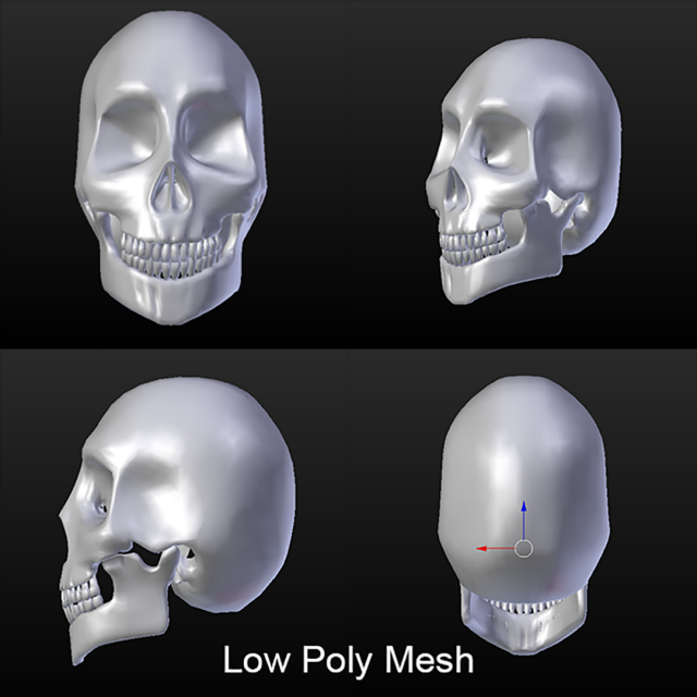 skull - blender3d 3D Model in Anatomy 3DExport