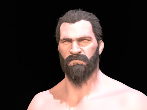 22WizardHair Beard Brows 3D Model in Man 625252 | 3DExport