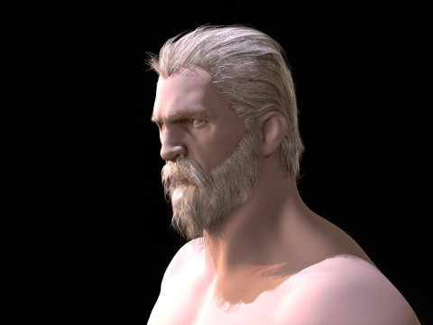 22WizardHair Beard Brows 3D Model in Man 625252 | 3DExport