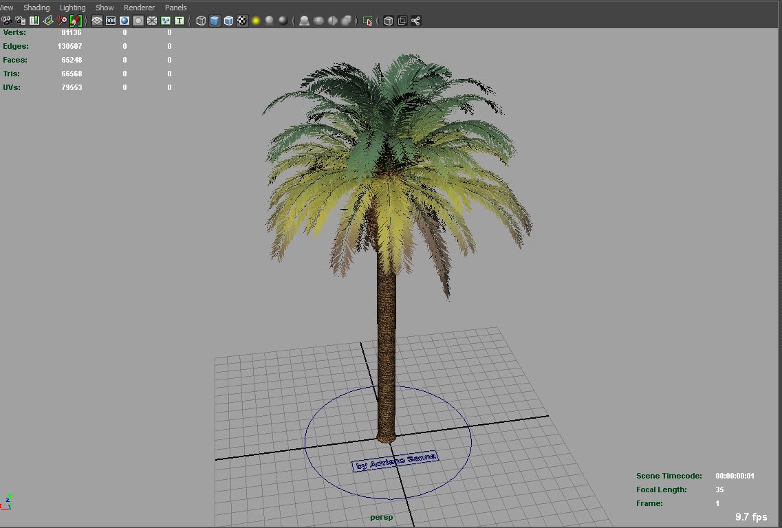 palm tree rigged for maya hd 3D Models in Tree 3DExport