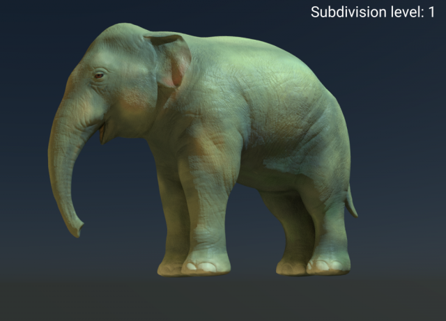 young asian elephant 3D Model in Elephant 3DExport