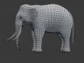 indian elephant 3D Models in Elephant 3DExport