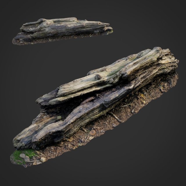 dead forest asset bundle pack 3D Model in Çevre 3DExport