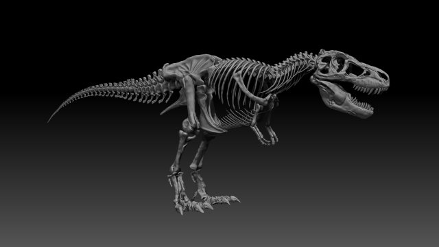sub tyrannosaurus rex full skeletons - subrex sculpt 3D Model in ...