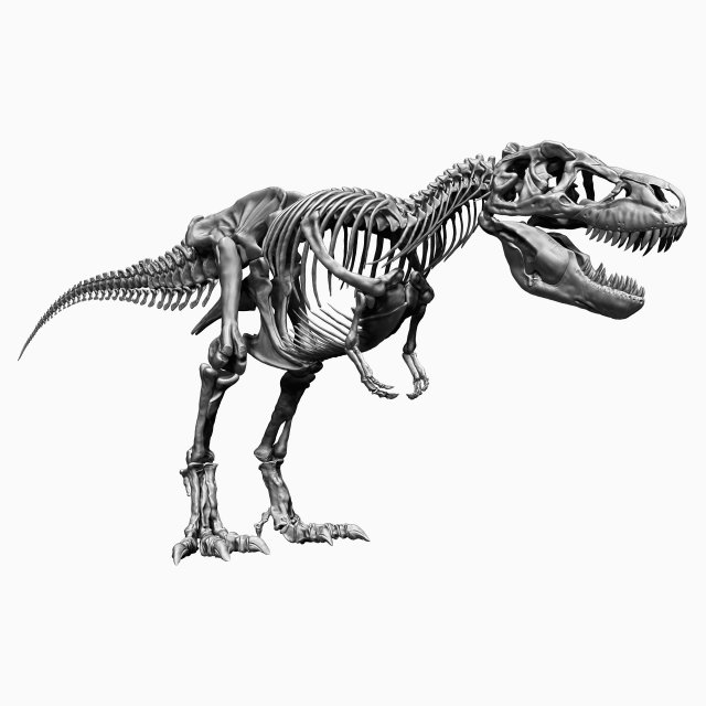 sub tyrannosaurus rex full skeletons - subrex sculpt 3D Model in ...
