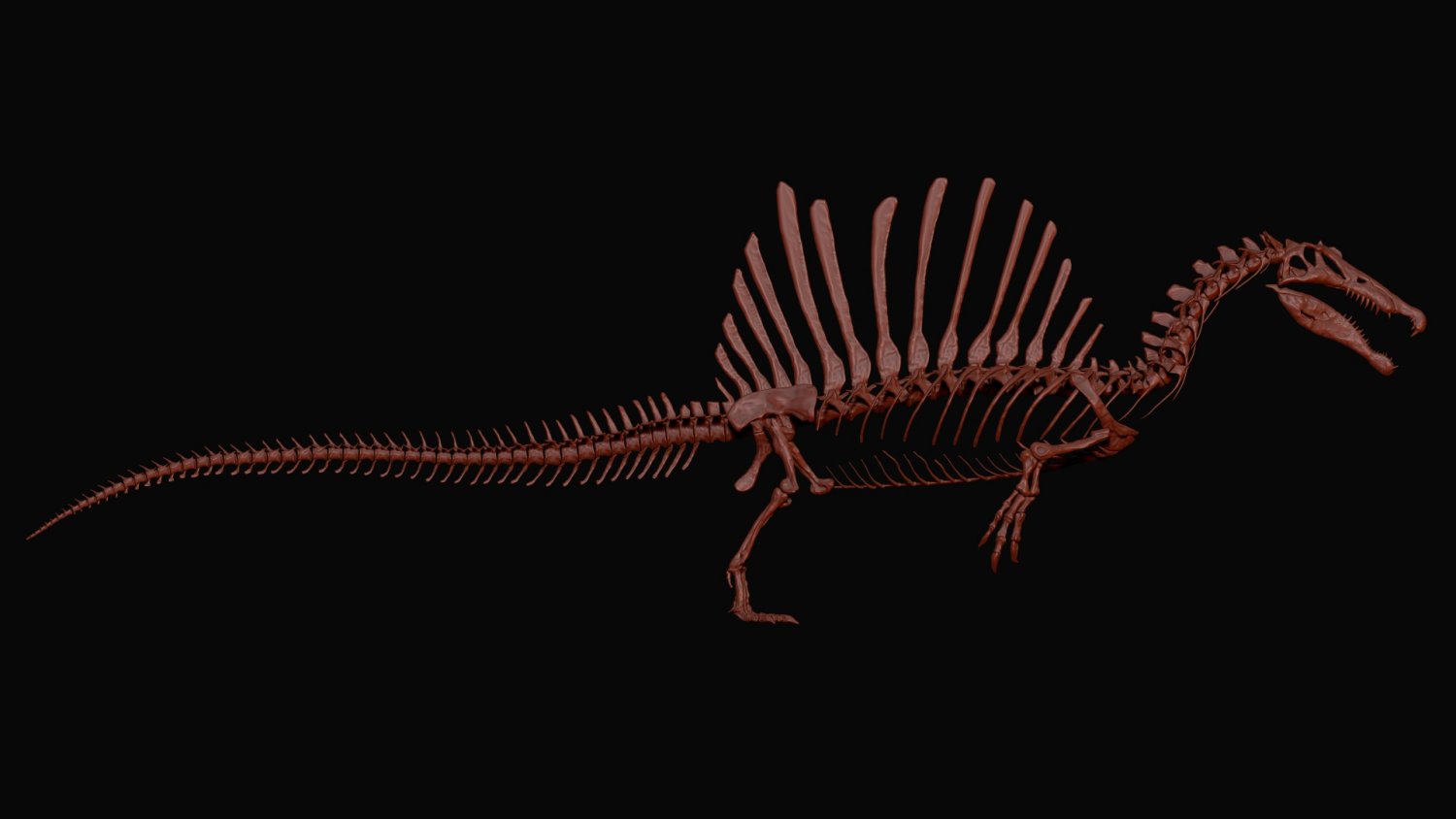 Spinosaurus Full Skeleton Sculpt Model 3D Model in Dinosaur 3DExport