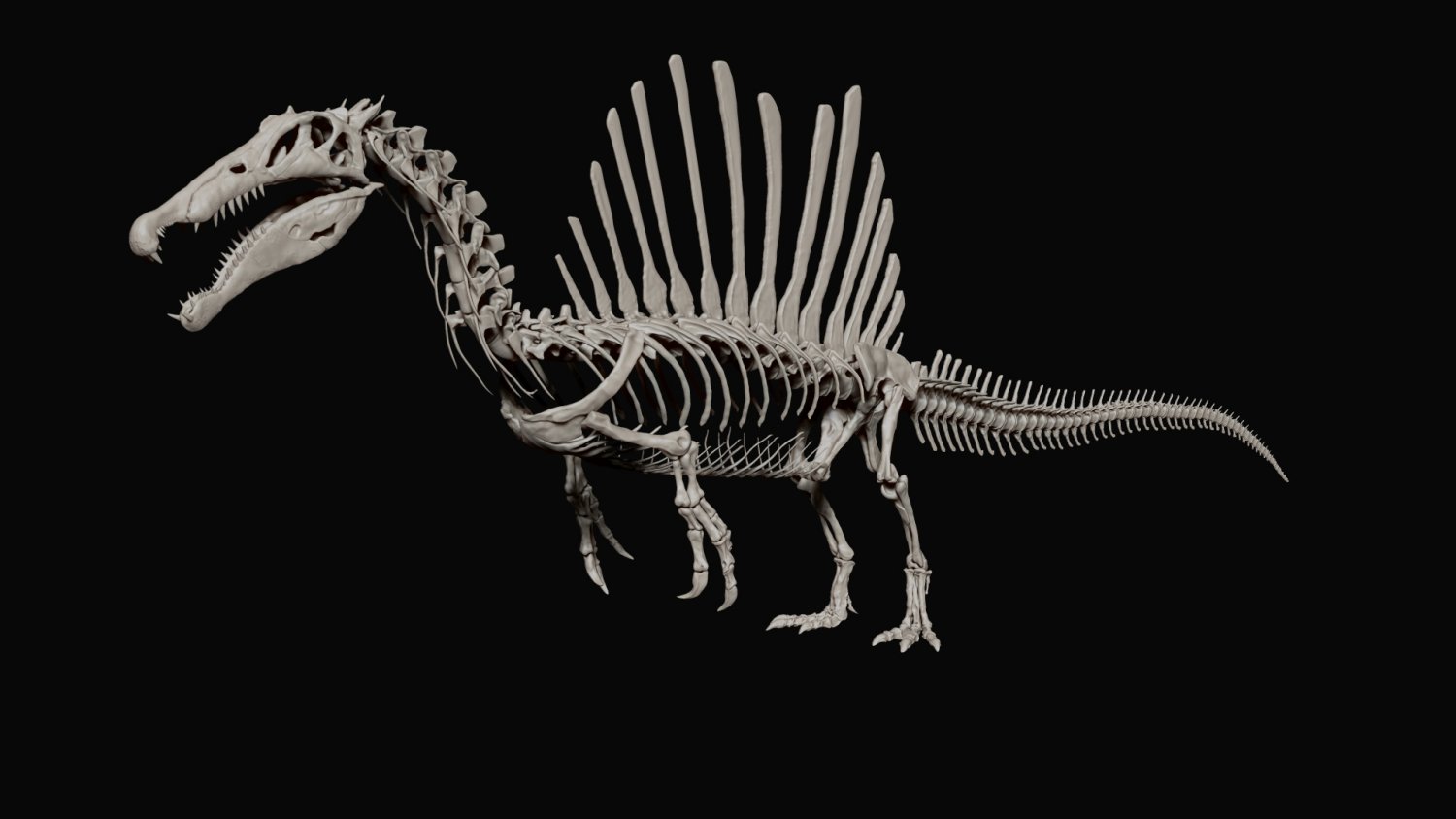 Spinosaurus Full Skeleton Sculpt Model 3D Model in Dinosaur 3DExport