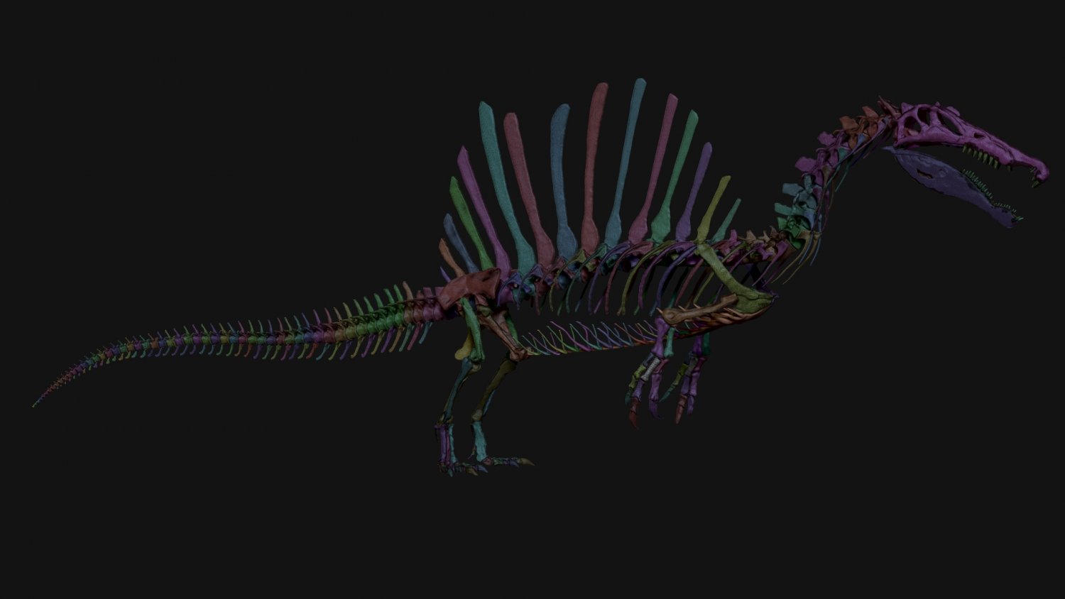 Spinosaurus Full Skeleton Sculpt Model 3D Model in Dinosaur 3DExport