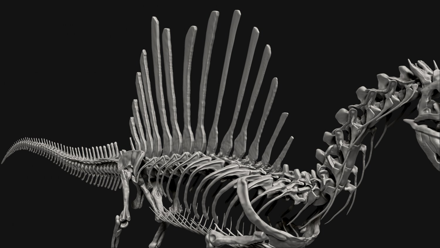 Spinosaurus Full Skeleton Sculpt Model 3D Model in Dinosaur 3DExport