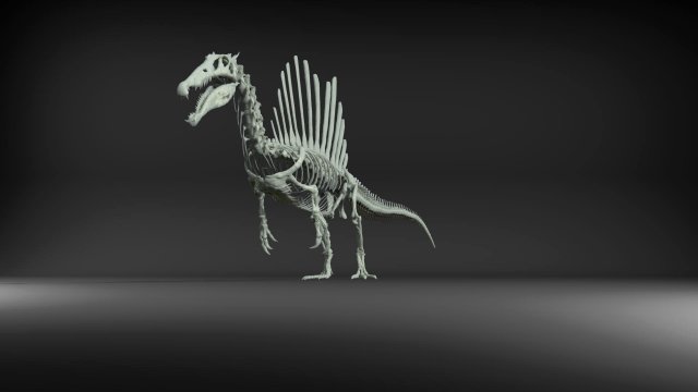 spinosaurus full skeleton sculpt model 3D Model in Dinosaur 3DExport
