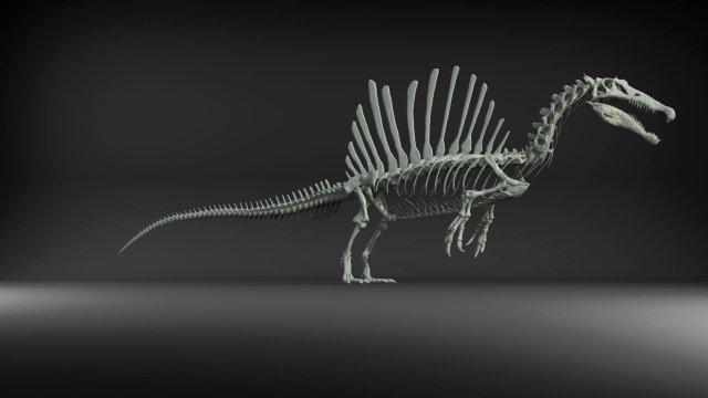 spinosaurus full skeleton sculpt model 3D Model in Dinosaur 3DExport