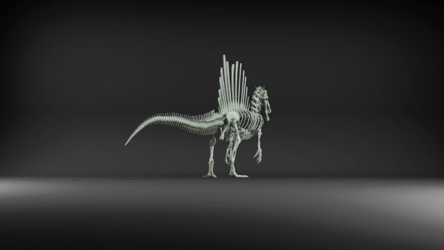 spinosaurus full skeleton sculpt model 3D Model in Dinosaur 3DExport