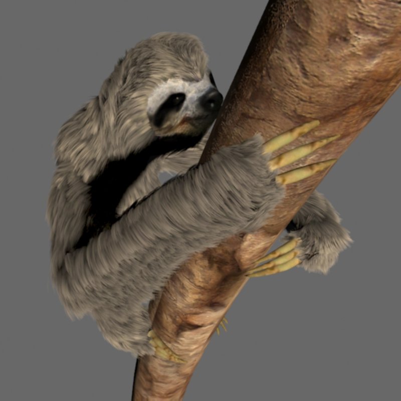 Sloth 3D Model in Wildlife 3DExport