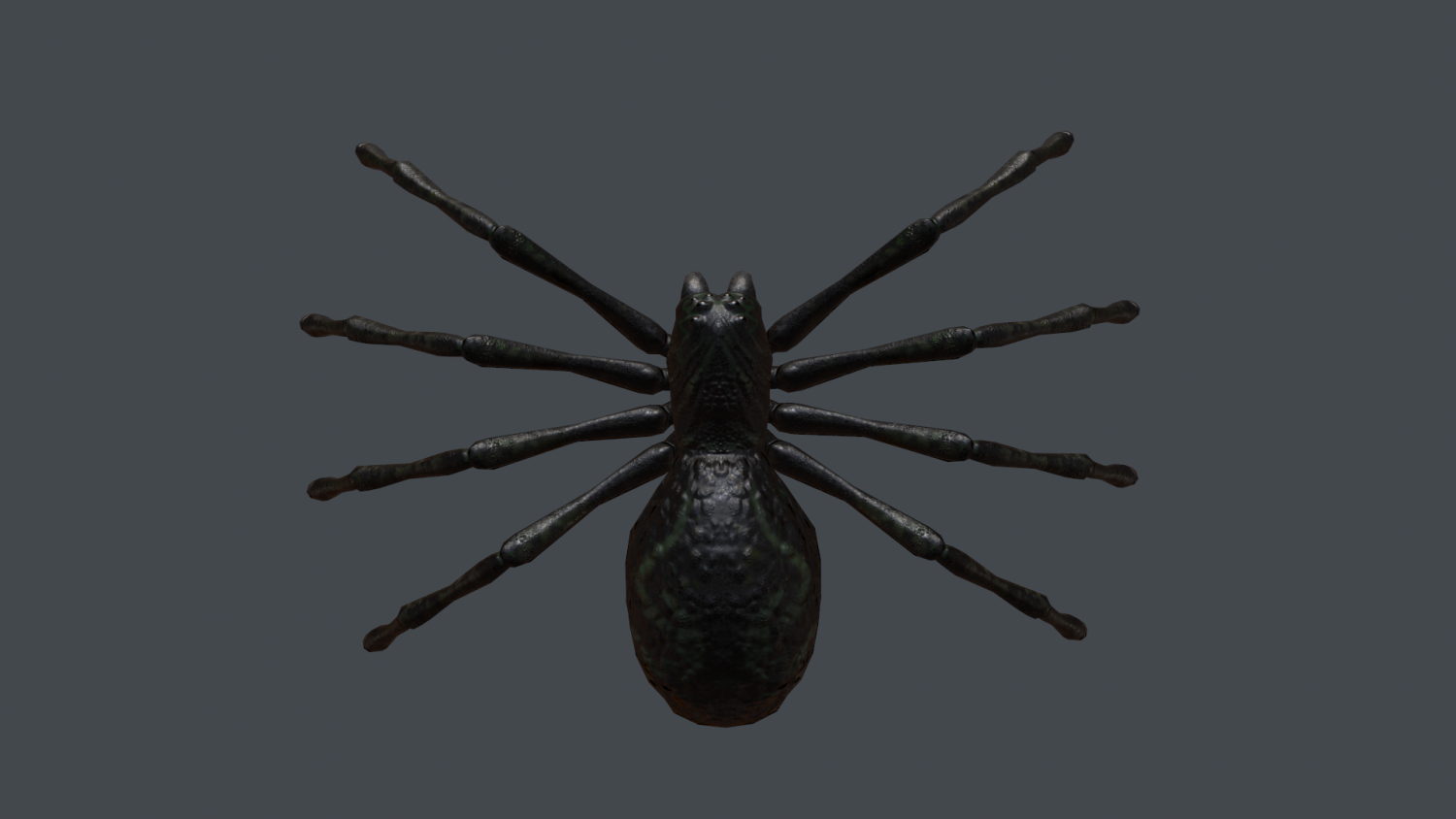 spider low poly Free 3D Models in Spider 3DExport