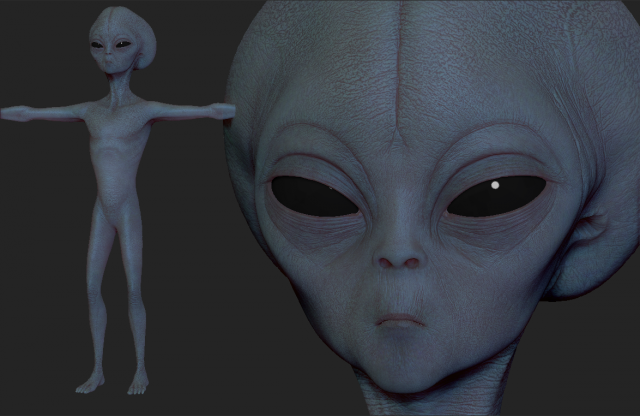 realistic aliens sculpts full pack 3D Model in Alien 3DExport