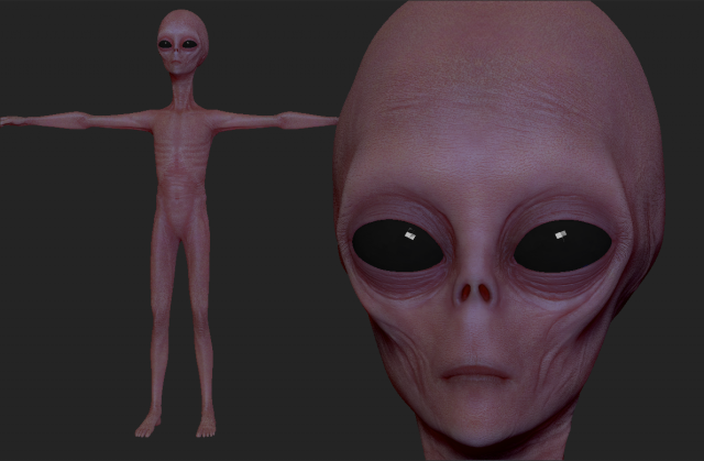 realistic aliens sculpts full pack 3D Model in Alien 3DExport