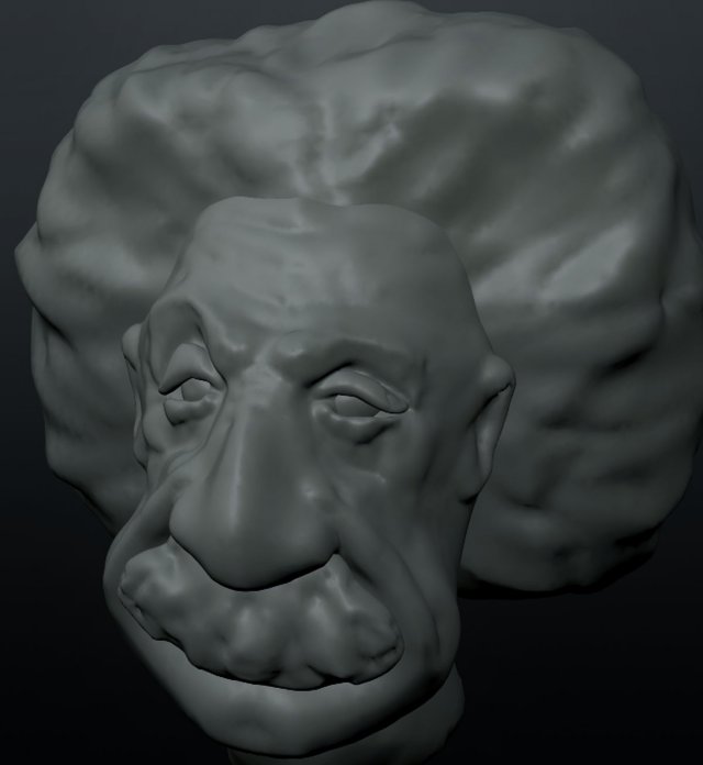 albert einsteins head 3D Print Model in Sculpture 3DExport