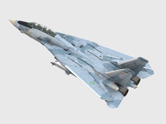 grumman f-14 tomcat 3D Model in Fighter 3DExport