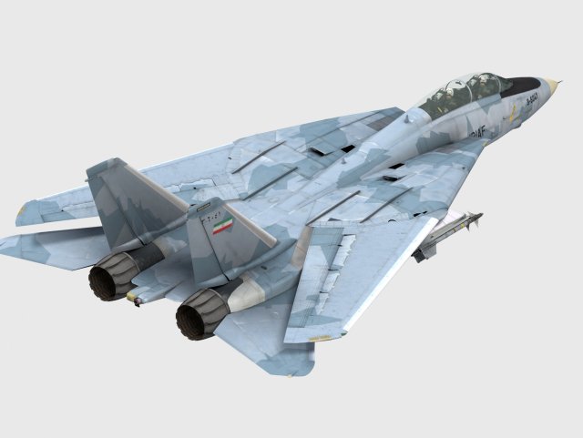 grumman f-14 tomcat 3D Model in Fighter 3DExport
