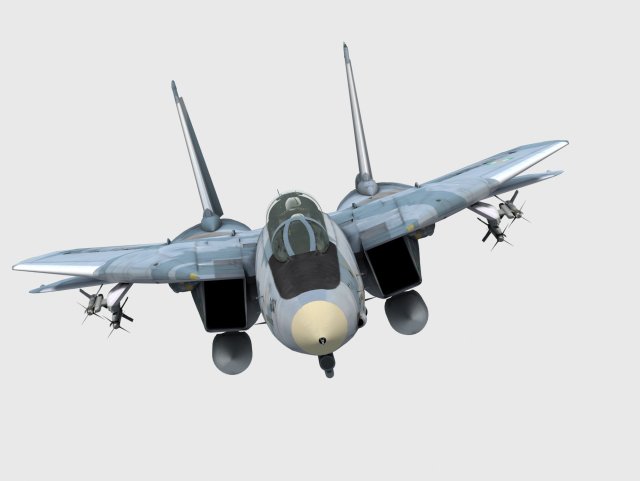 grumman f-14 tomcat 3D Model in Fighter 3DExport