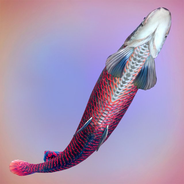 Fish Arapaima Gigas Low-poly 3D Model in Fish 3DExport