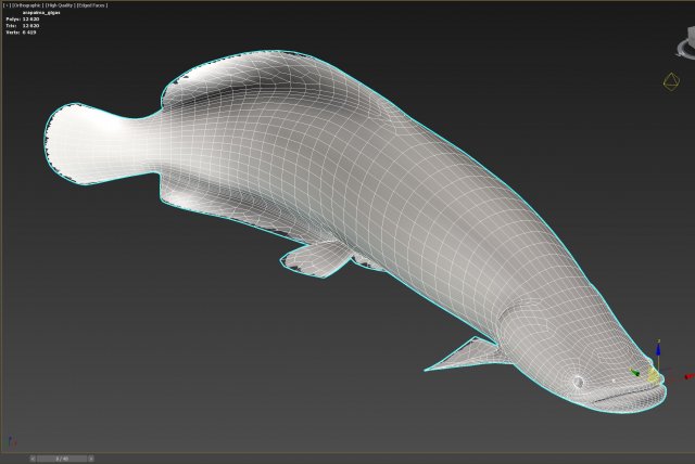Fish Arapaima Gigas Low-poly 3D Model in Fish 3DExport