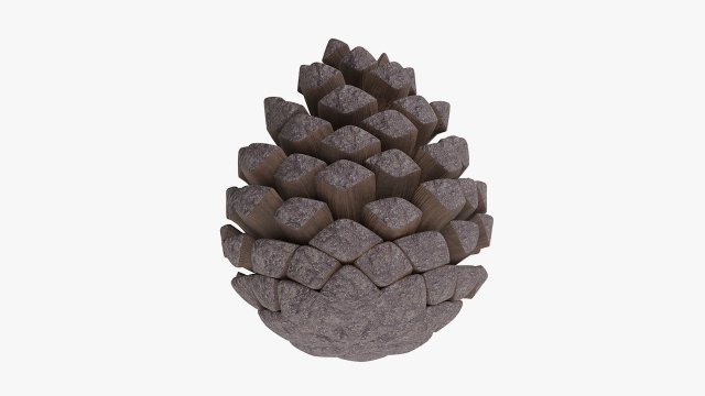 Pine cone 3D Model in Tree 3DExport