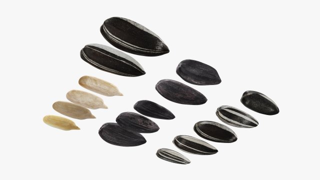 Sunflower seeds 01 3D Model in Miscellaneous 3DExport