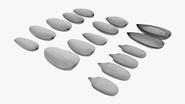 Sunflower seeds 01 3D Model in Miscellaneous 3DExport
