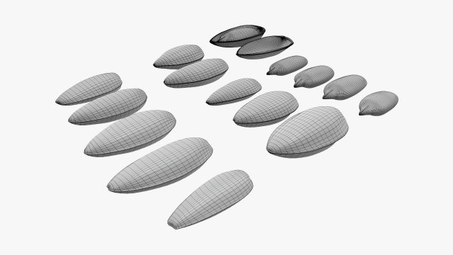 Sunflower seeds 01 3D Model in Miscellaneous 3DExport