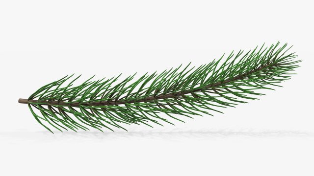 Fir tree branch 01 3D Model in Tree 3DExport