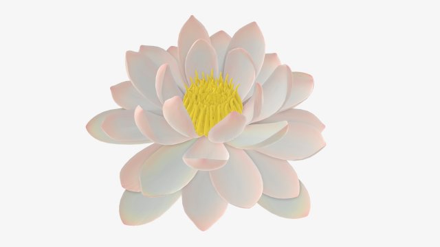 Water lily white flower 3D Model in Flowers 3DExport