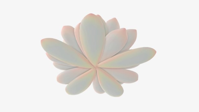 Water lily white flower 3D Model in Flowers 3DExport