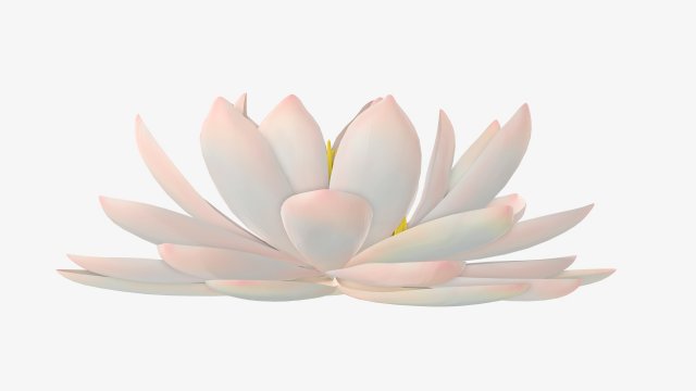Water lily white flower 3D Model in Flowers 3DExport