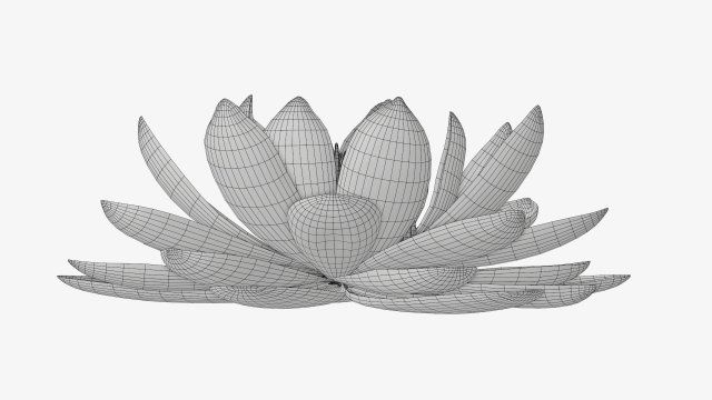 Water lily white flower 3D Model in Flowers 3DExport